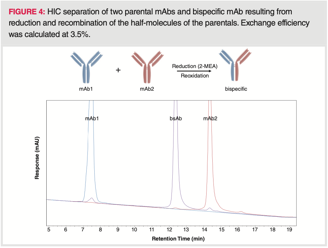 Hydrophobic Interaction